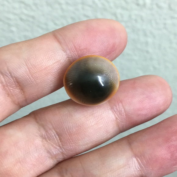 Hand Crafted | Jewelry | Shiva Shell Handmade Pin In Hawaii | Poshmark